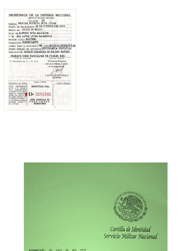 CARTILLA BRAYAN RODRIGO MOTA LUCAS | PDF