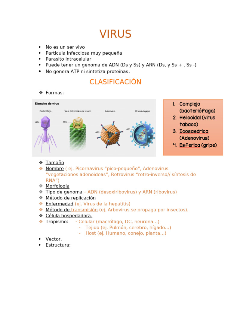 VIRUS | PDF