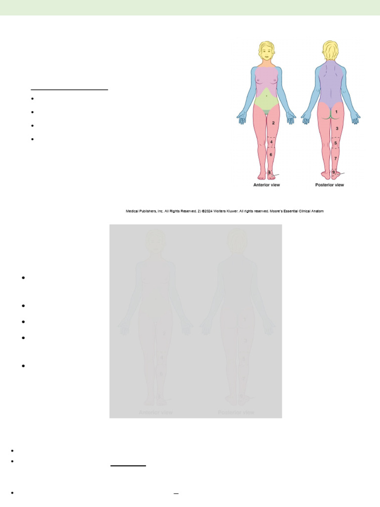 Lab 1 - Anatomical Position, Planes, and Sections3 | PDF