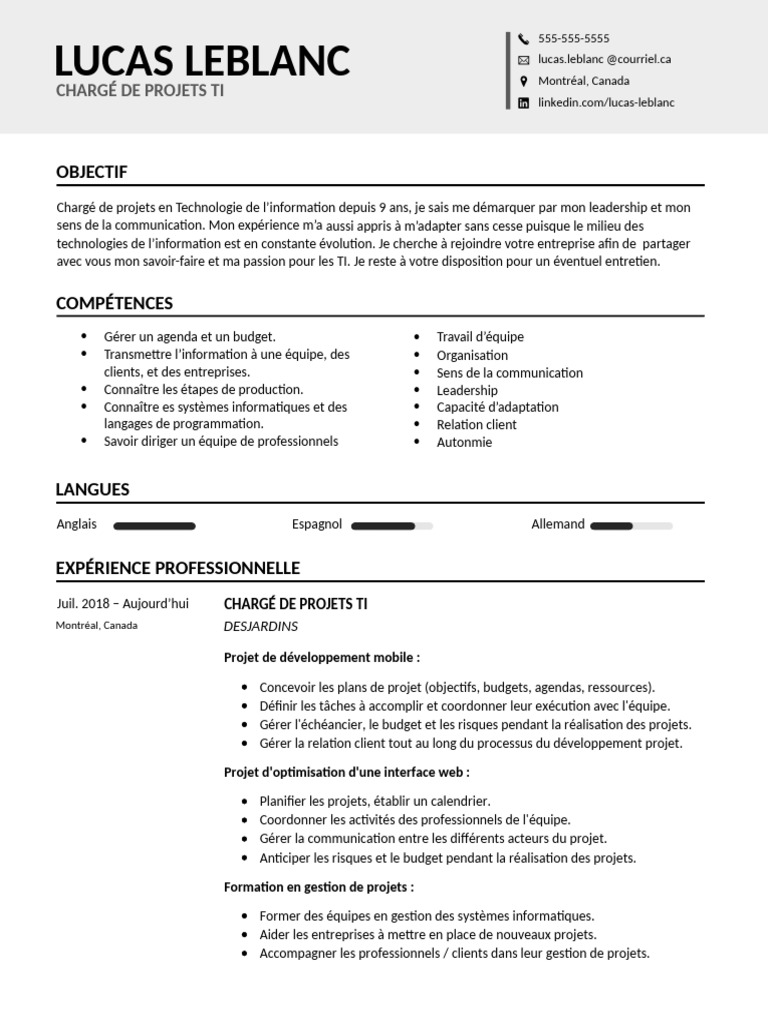 Exemple de CV Chargé de Projets TI | PDF | Gestion de projet | Art
