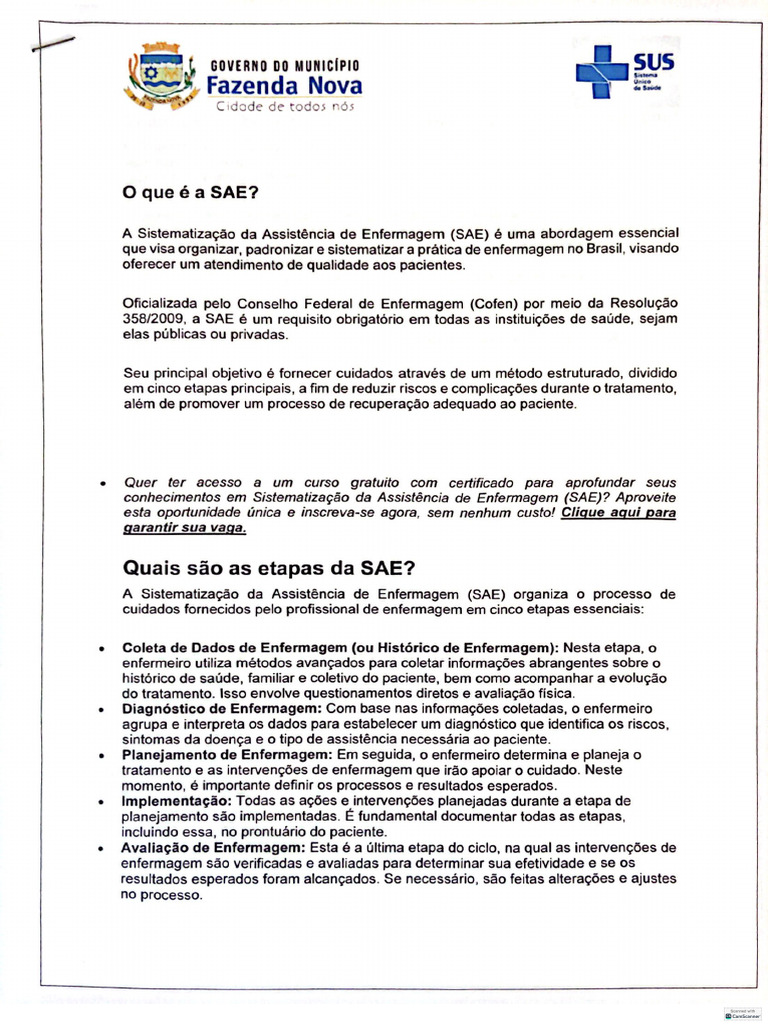 SAE | PDF