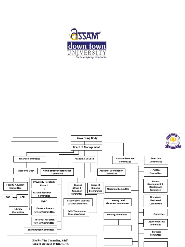University Organisational Chart | PDF
