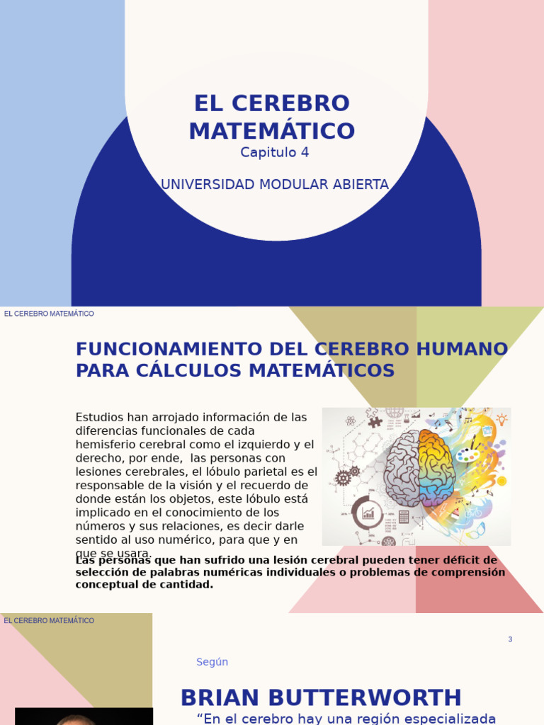 El Cerebro Matemático | PDF