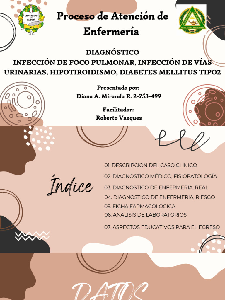 Presentación Visual PAE | PDF