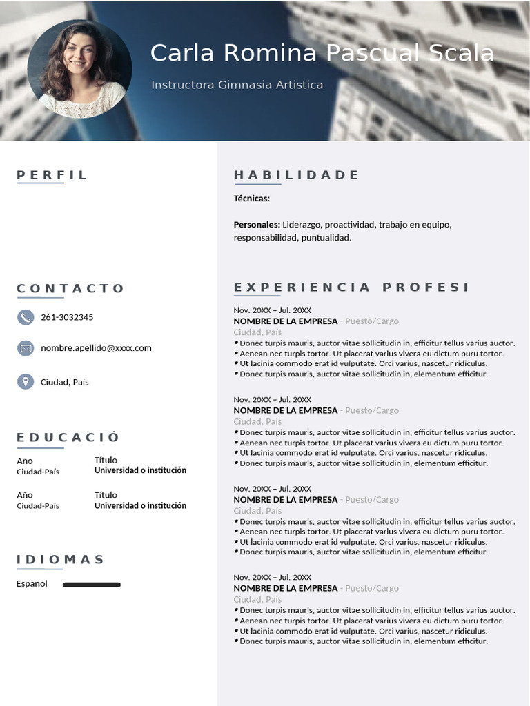 curriculo romi | PDF