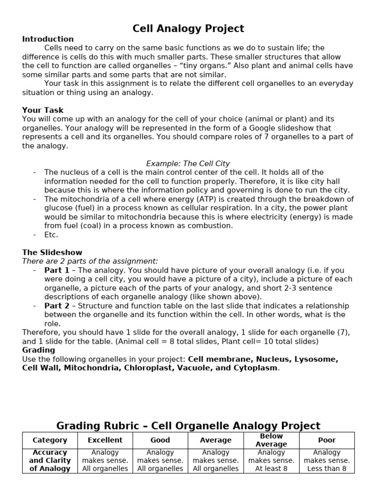 Cell Analogy Project | PDF