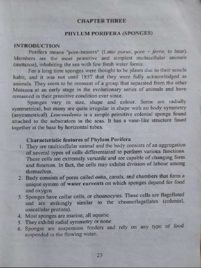 ZLY103 (CPT 3) | PDF