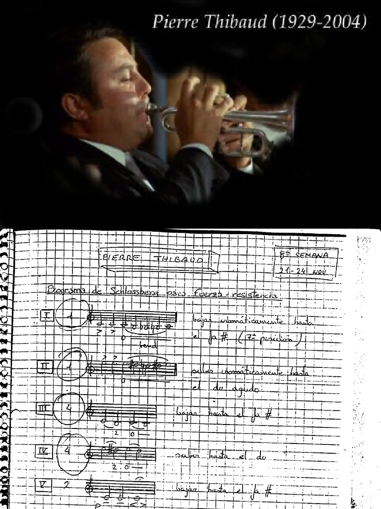Pierre Thibaud - Trabalho Técnico | PDF