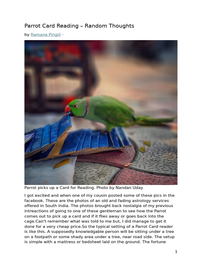 Parrot Card Reading - Random Thoughts | PDF | Self-Improvement