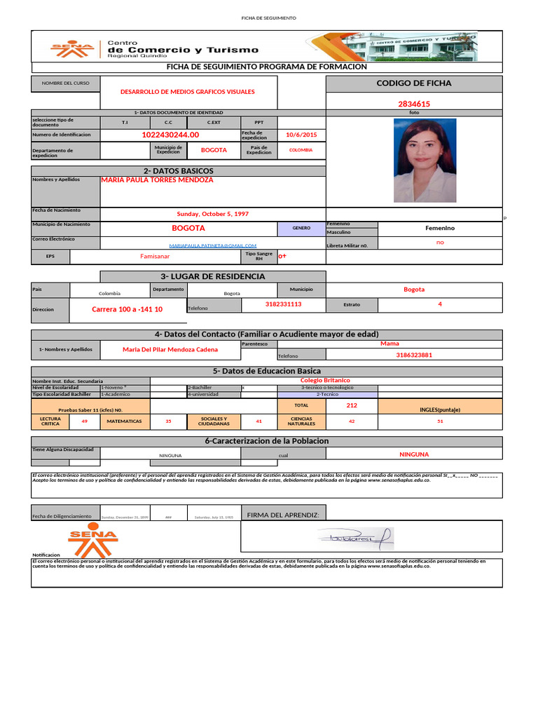 Formato Ficha de Seguimiento | PDF