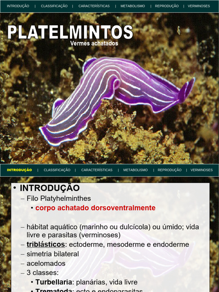 03 - Platelmintos e Nematelmintos | PDF