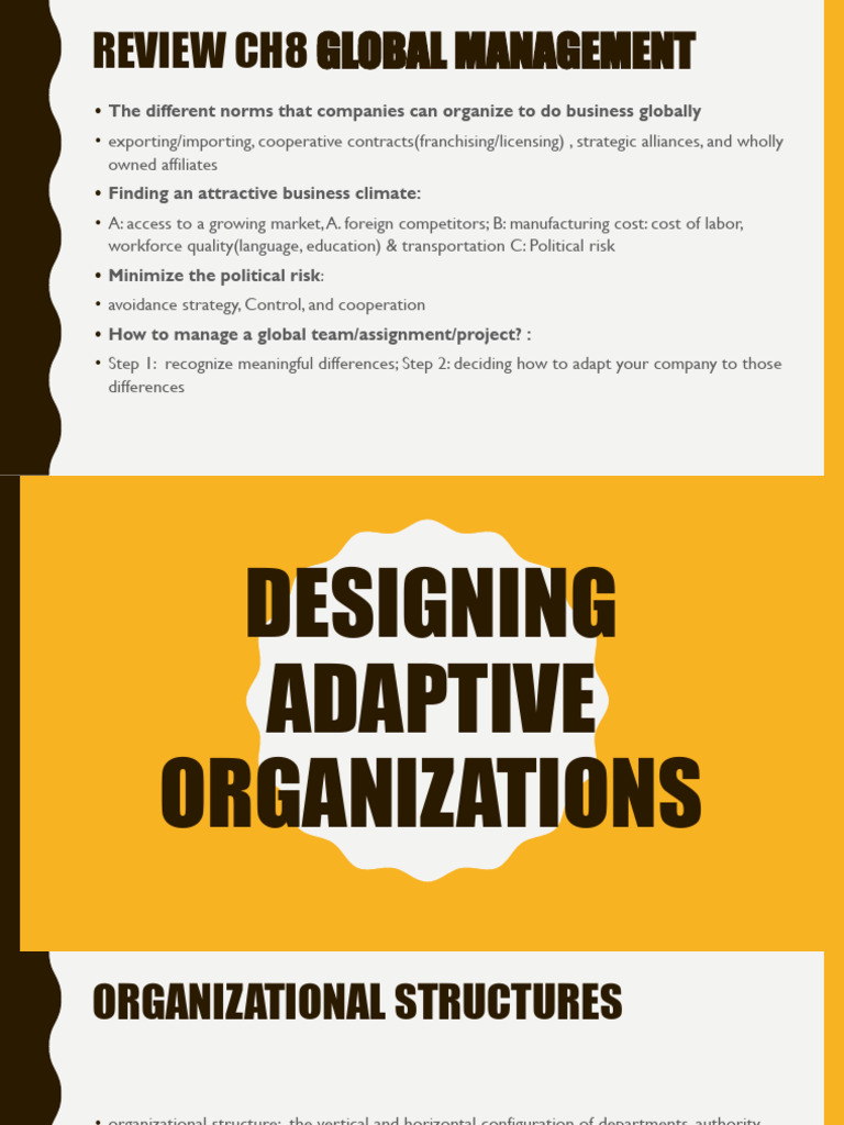 CH9 Designing Adaptive Organizations | PDF