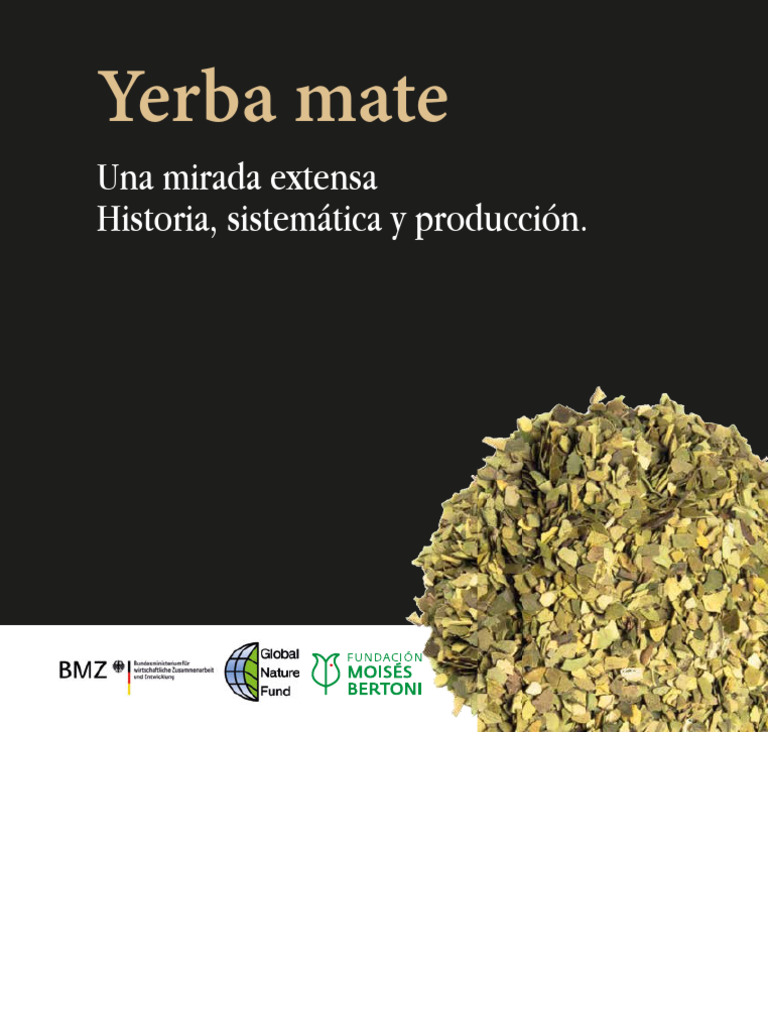 Yerba Mate | PDF