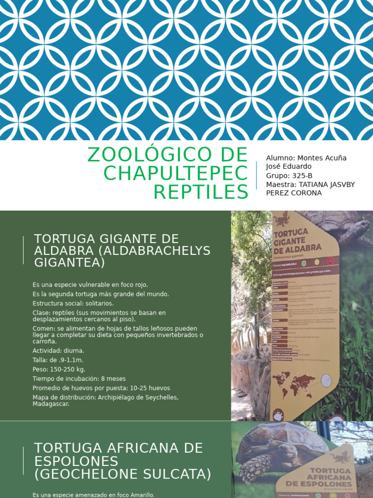 Zoologico de Chapultepec Act Reptiles | PDF
