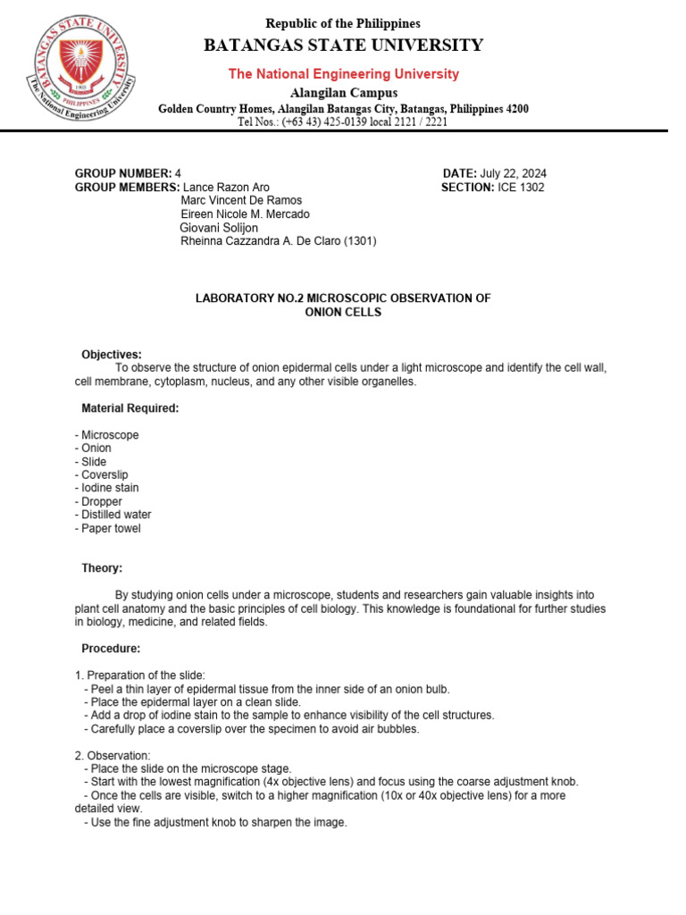 Lab 3 Onion | PDF
