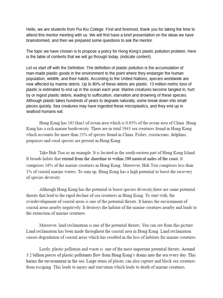 Copy of Script (Mentor Evaluation) | PDF