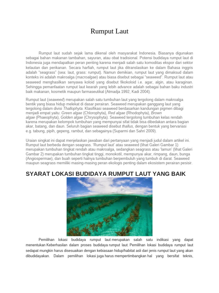 Rumput Laut | PDF