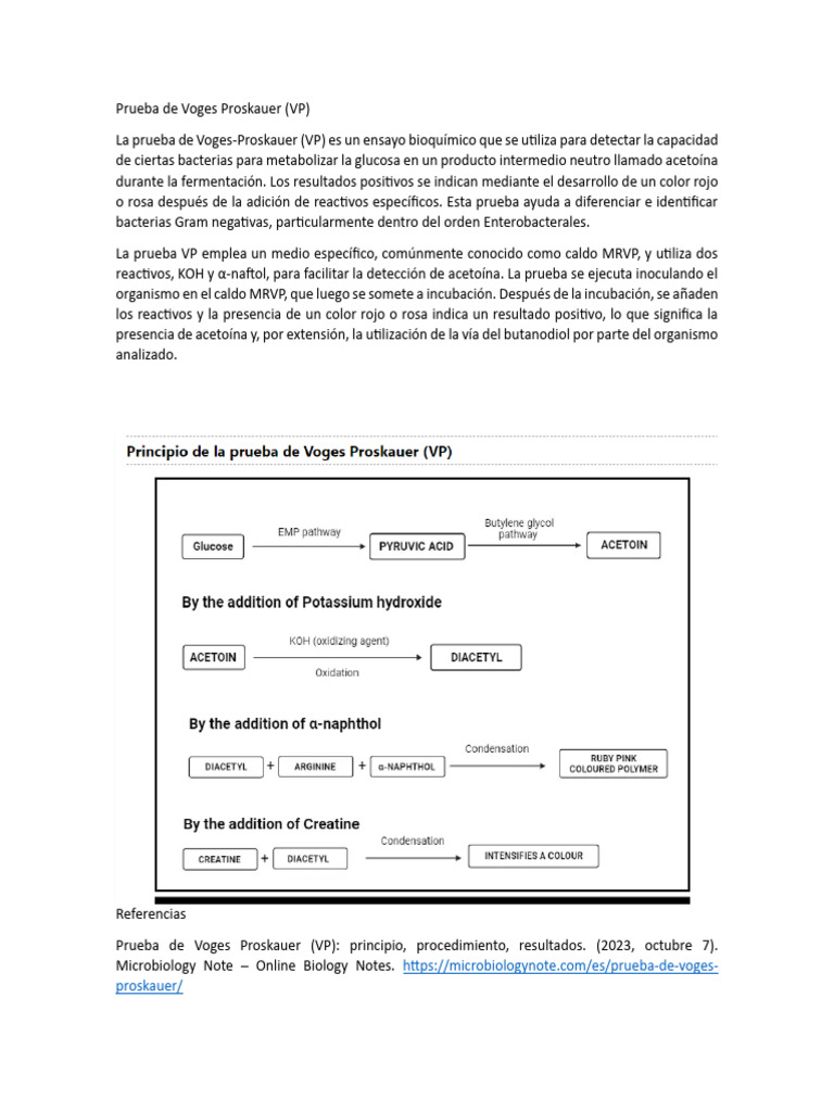 Prueba de Voges Proskauer | PDF