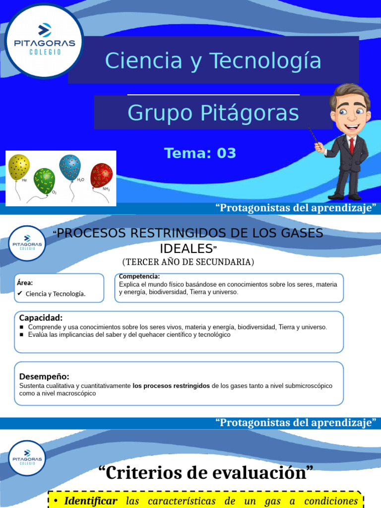 CT 3S Iiib 03 - Procesos Restringidos | PDF