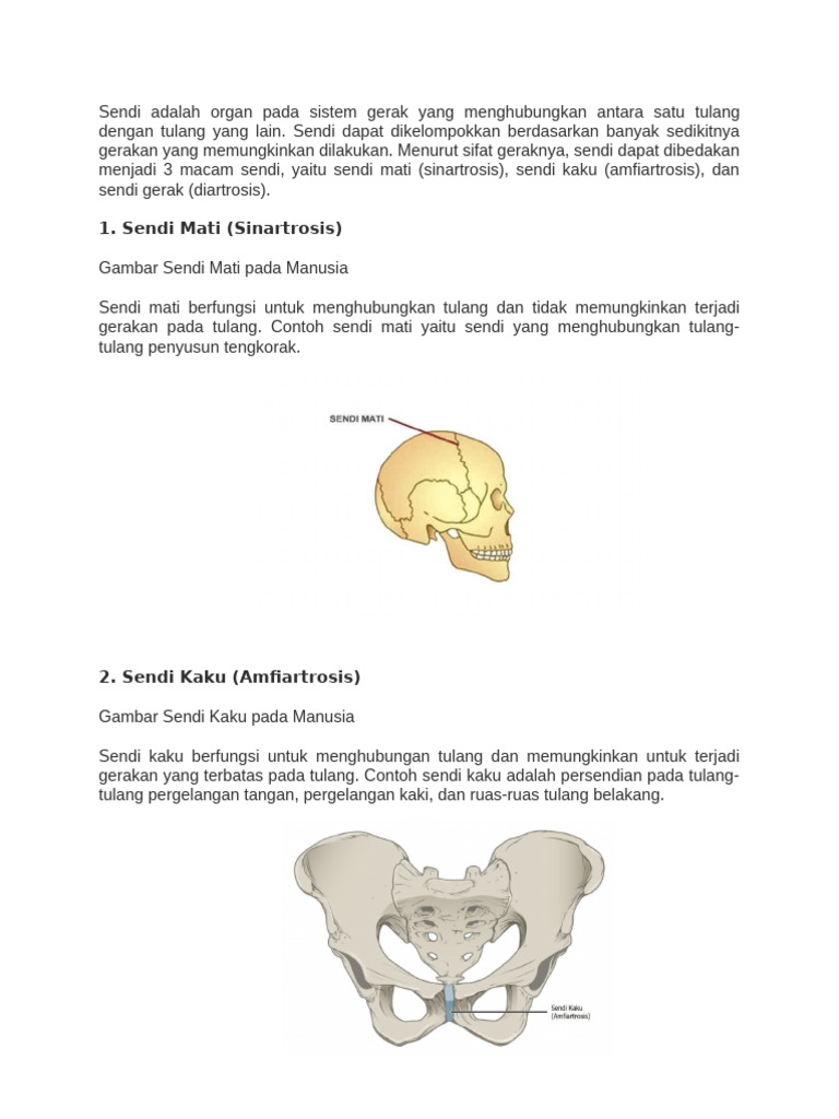 Macam-Macam Sendi | PDF