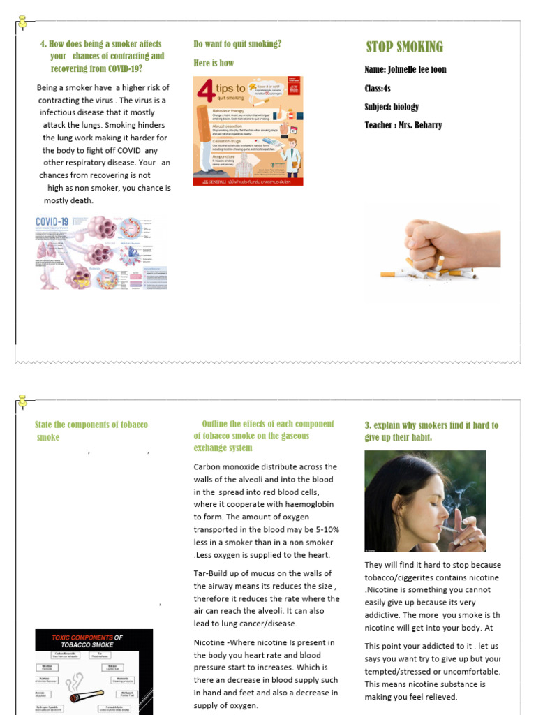 Smoking Project | PDF