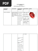 Fisiología y Anatomía Quirúrgicadela Arteria Mamaria Interna | PDF ...