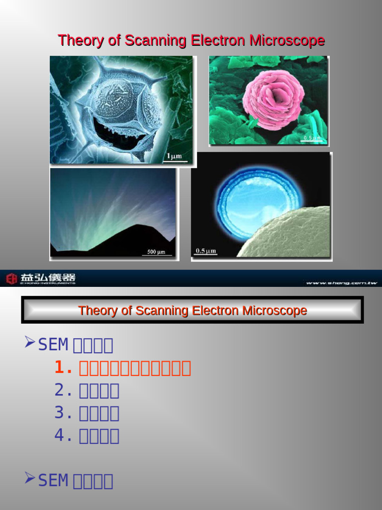 Theory of Scanning Electron Microscope | PDF