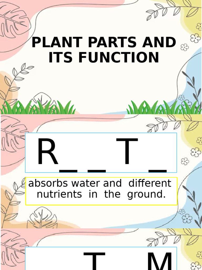 Plant Parts and Its Function | PDF
