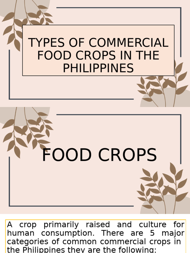 Types of Commercial Food Crops in The Philippines | PDF