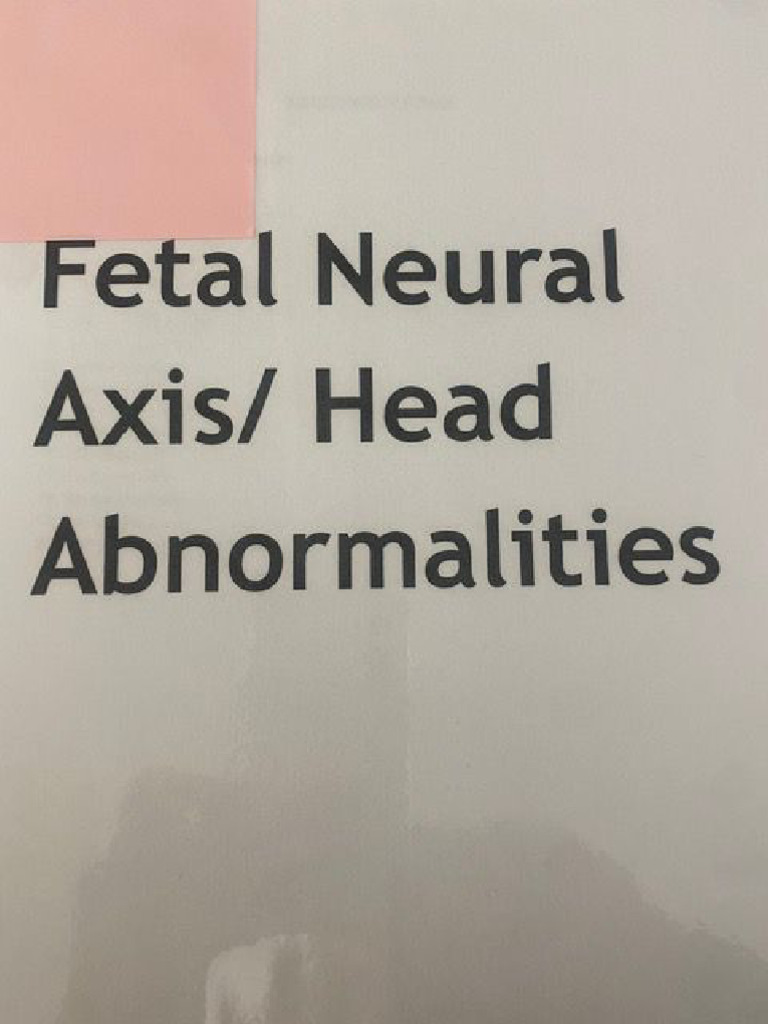 Fetal Neural Axis 1 | PDF