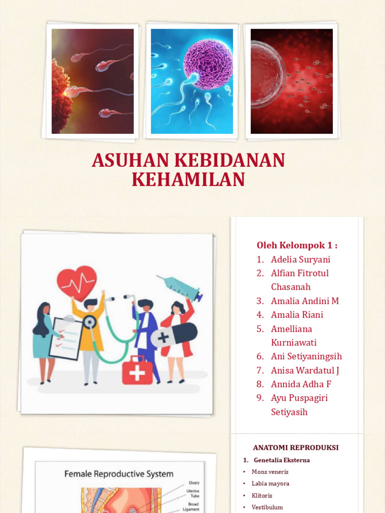 Asuhan Kehamilan | PDF