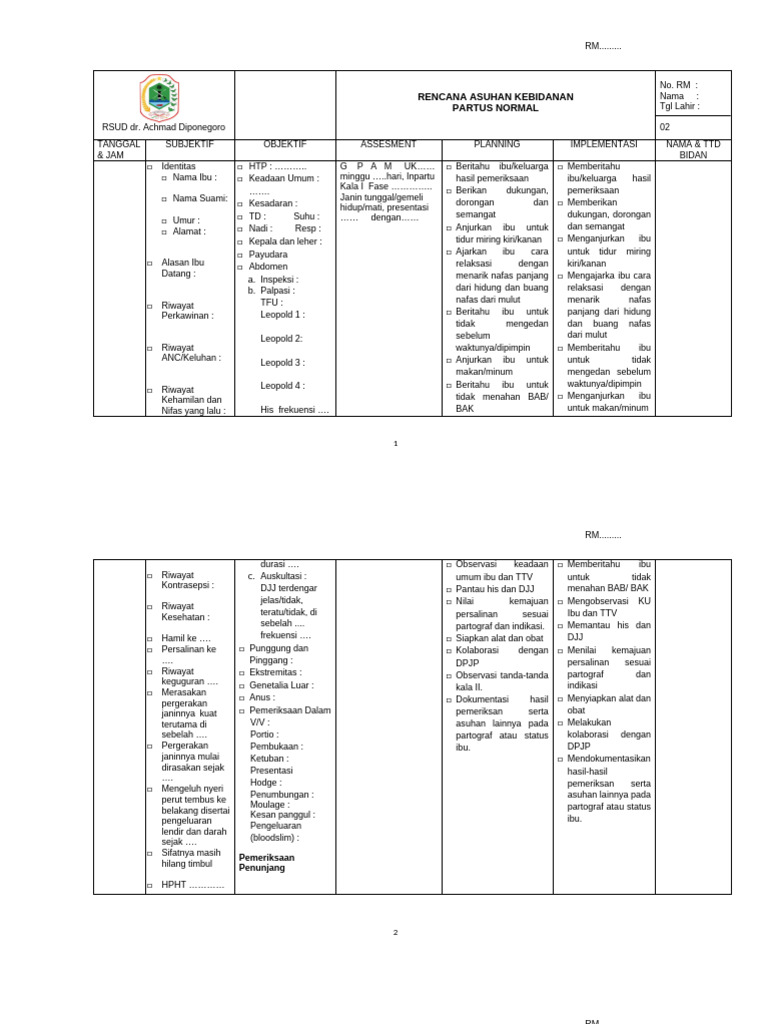 RAK Partus Normal | PDF