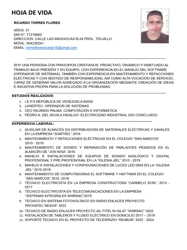 Torres Flores Ricardo CV | PDF