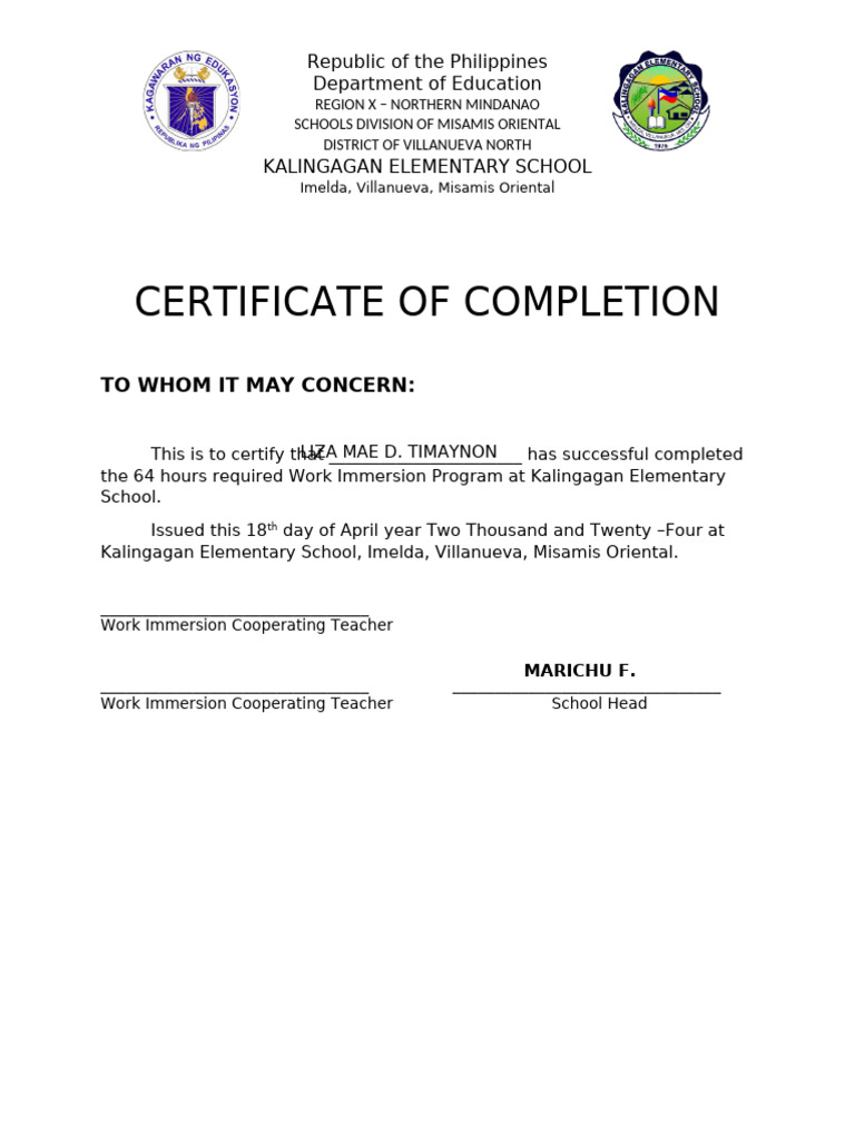 Certificate of Completion - Immersion 2024 | PDF