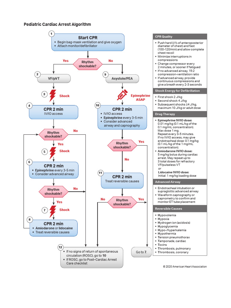 All PALS Algorithms 2020 | PDF