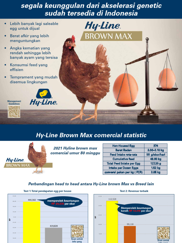 HLB Max Scale Flyer for Indonesia BAH | PDF