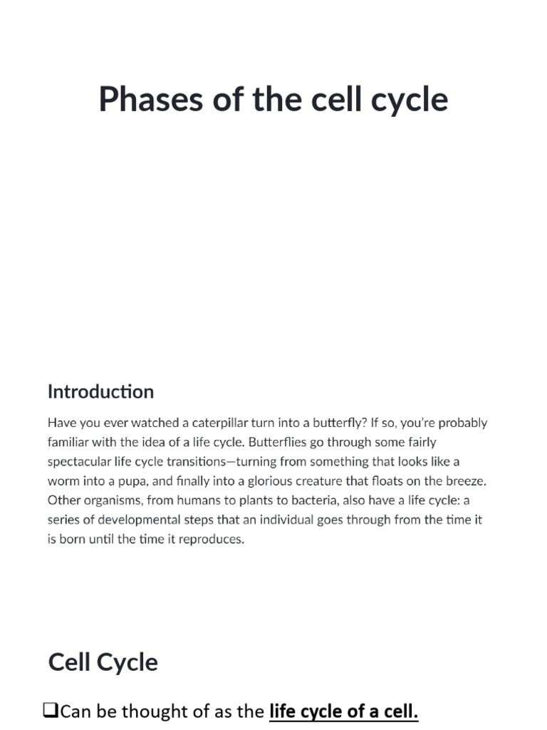 Phases of The Cell Cycle | PDF | Mitosis | Cell Biology
