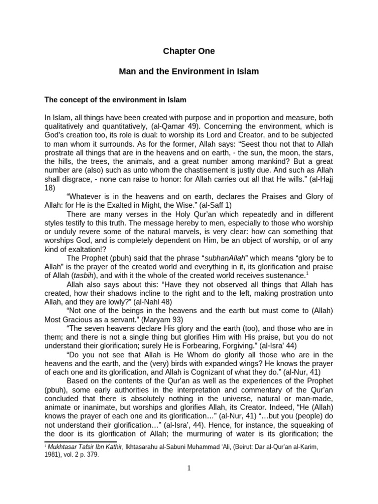Chapter 1 ONEMan Environment | PDF