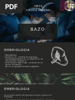 Cápsula de Glisson | PDF | Tejido adiposo | Riñón