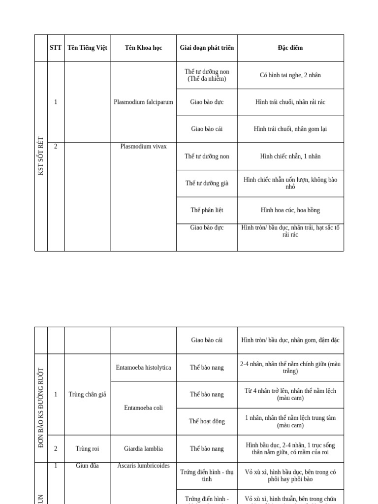 Bài So N KST-TH | PDF