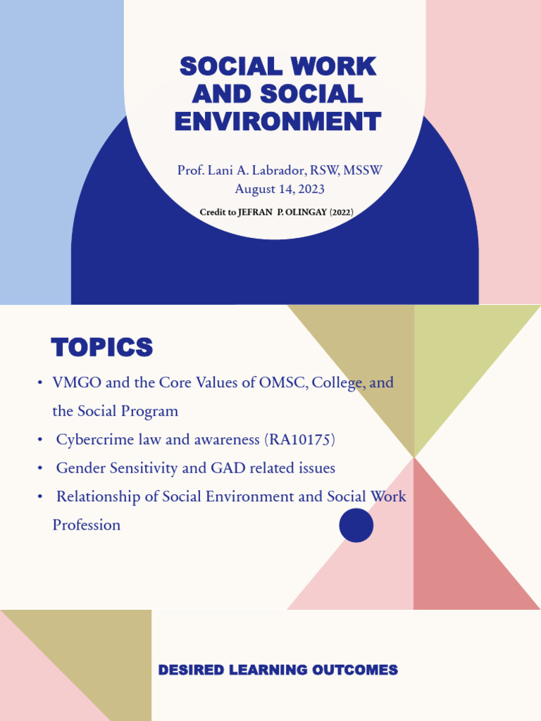 Social Work and Social Environment | PDF