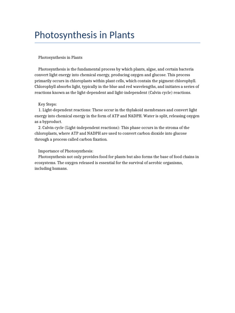 Photosynthesis in Plants Updated | PDF | Science & Mathematics ...