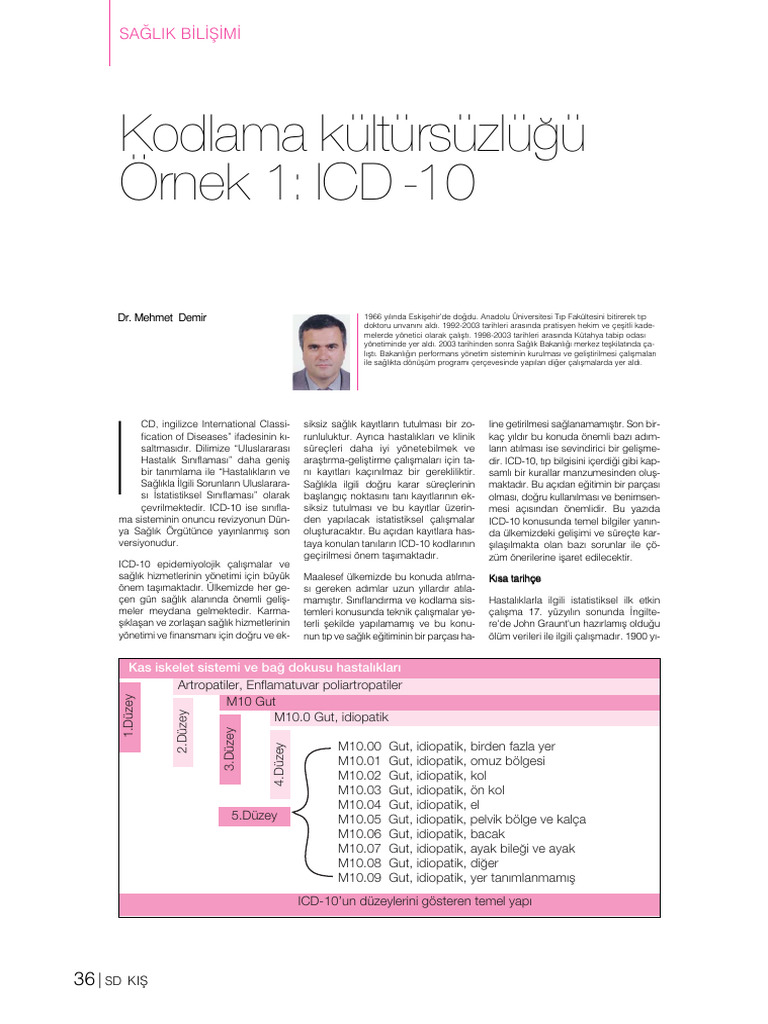 SD Dergi Sayi2-36-39.sayfalar Mehmet Demir | PDF