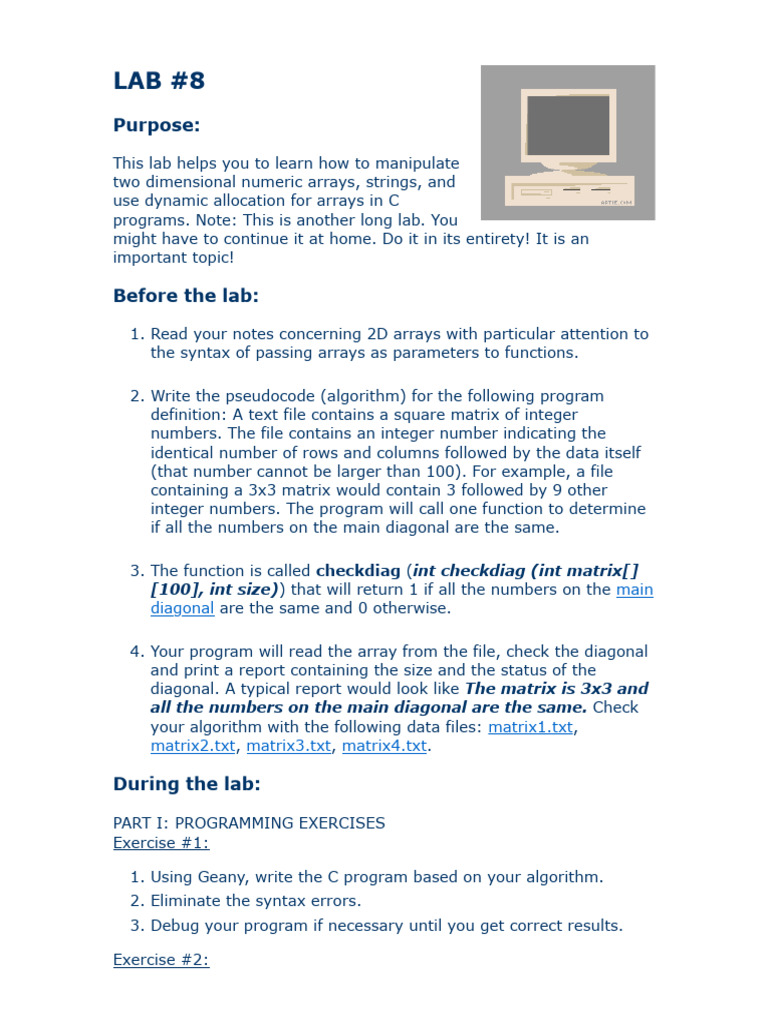 CPS125 Lab Manual - Lab #8 | PDF