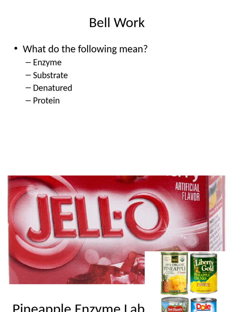 Pineapple Enzyme Lab | PDF