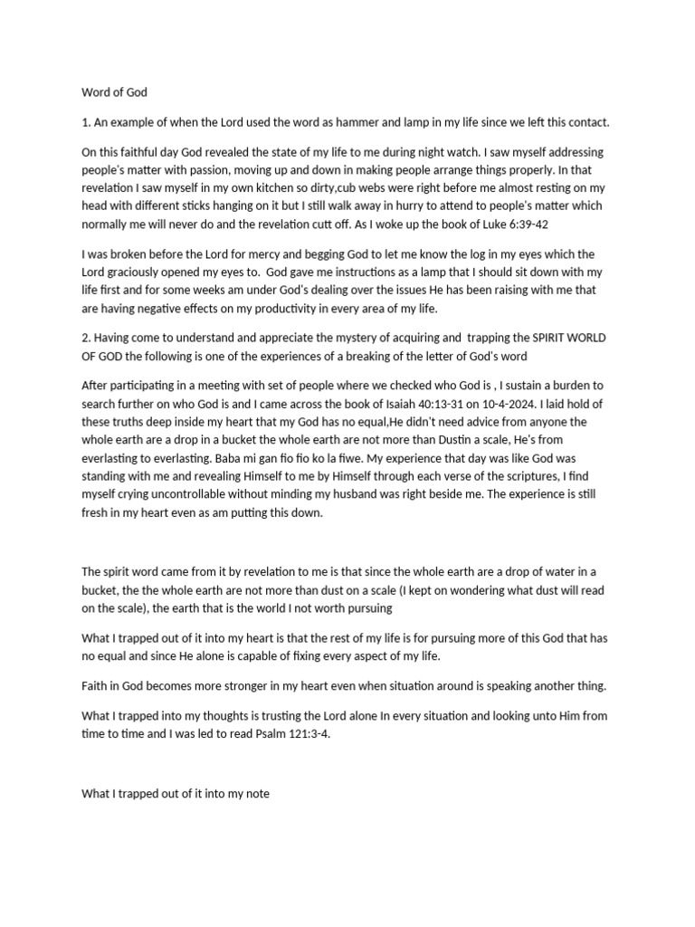 An Example of W-WPS Office | PDF