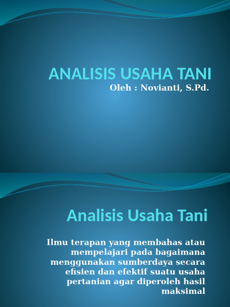 Analisis Usaha Tani | PDF | Pengelolaan Keuangan & Uang