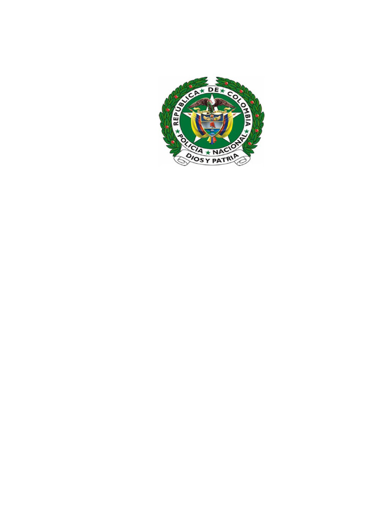 Manual de Funciones Disan 2017 | PDF