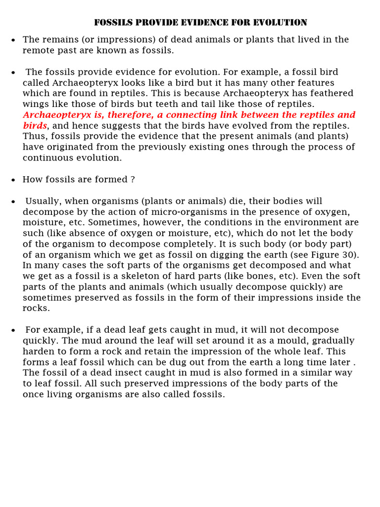 Fossils Provide Evidence For Evolution | PDF