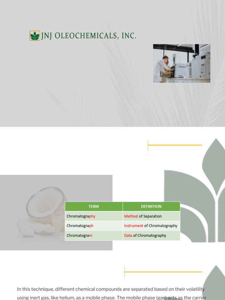 Gas Chromatography Basics | PDF